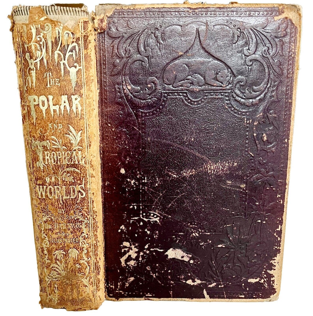 1872 Polar and Tropical Regions of the World Victorian Illustrated ...