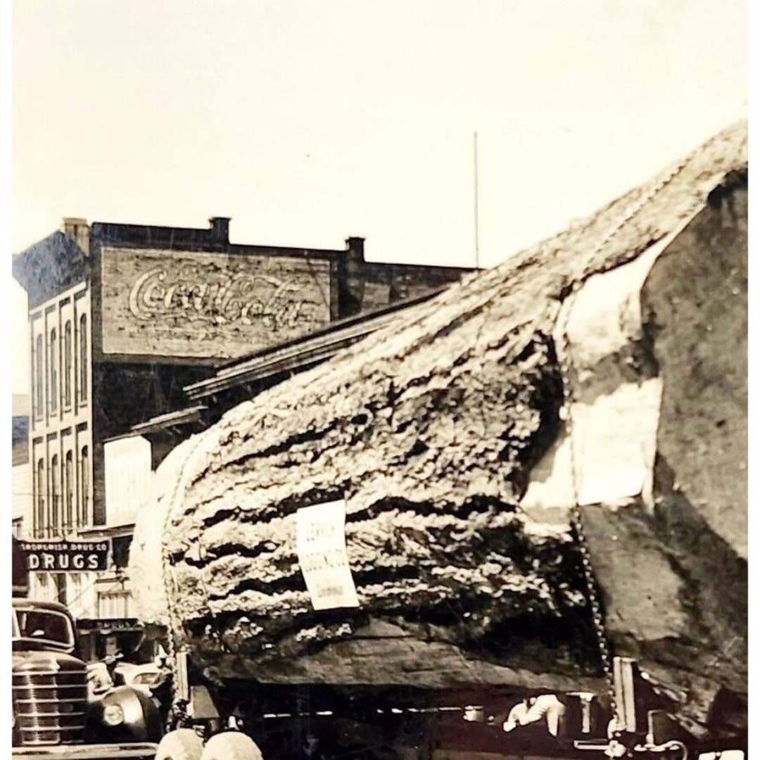RPPC Coca Cola Sign Washington 1920s Pac NW Fir Logging Trucking PCBG6F ...