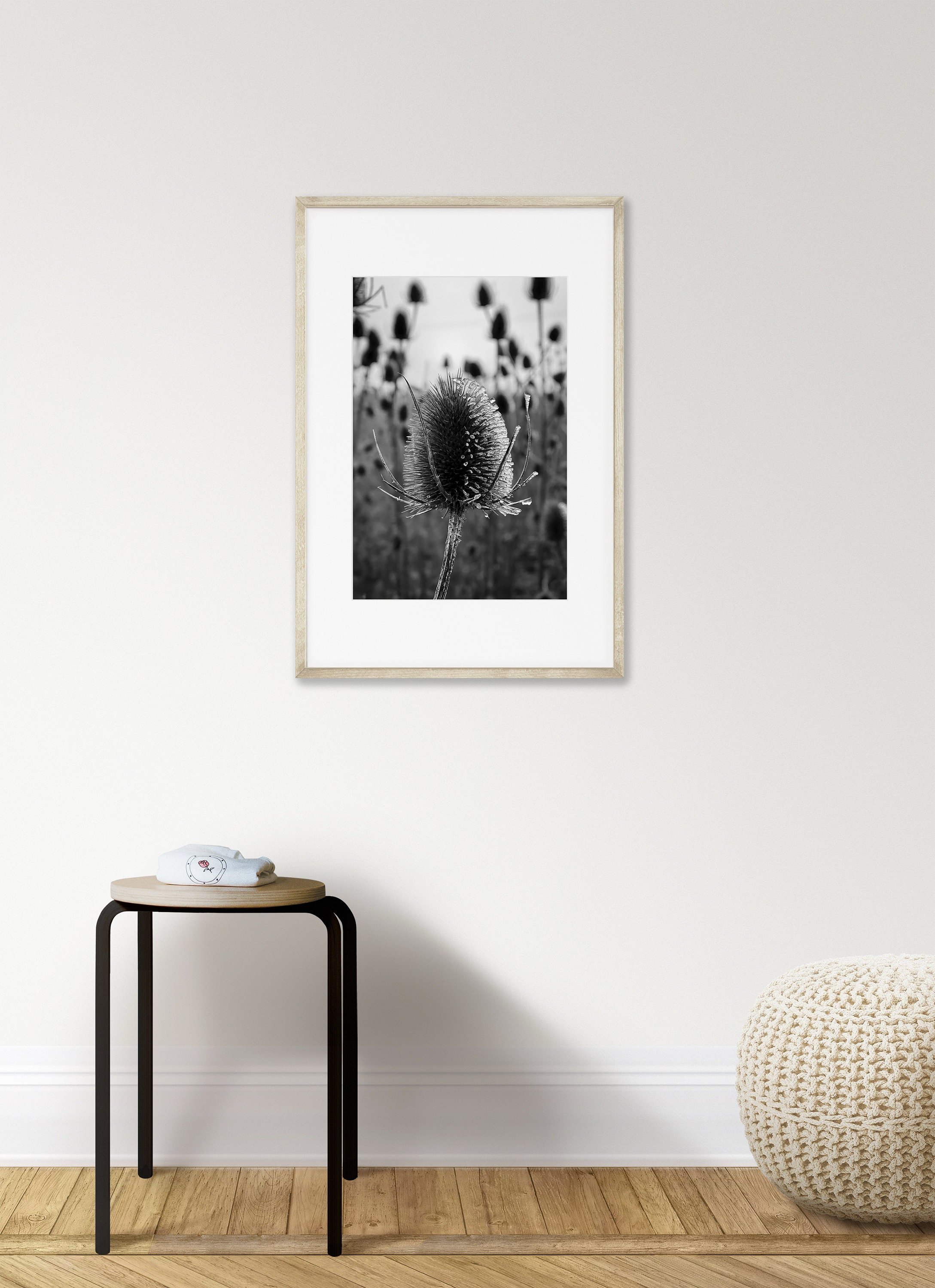 Half Frozen Teasel. Black & White Fine-art Photo Print by - Etsy UK
