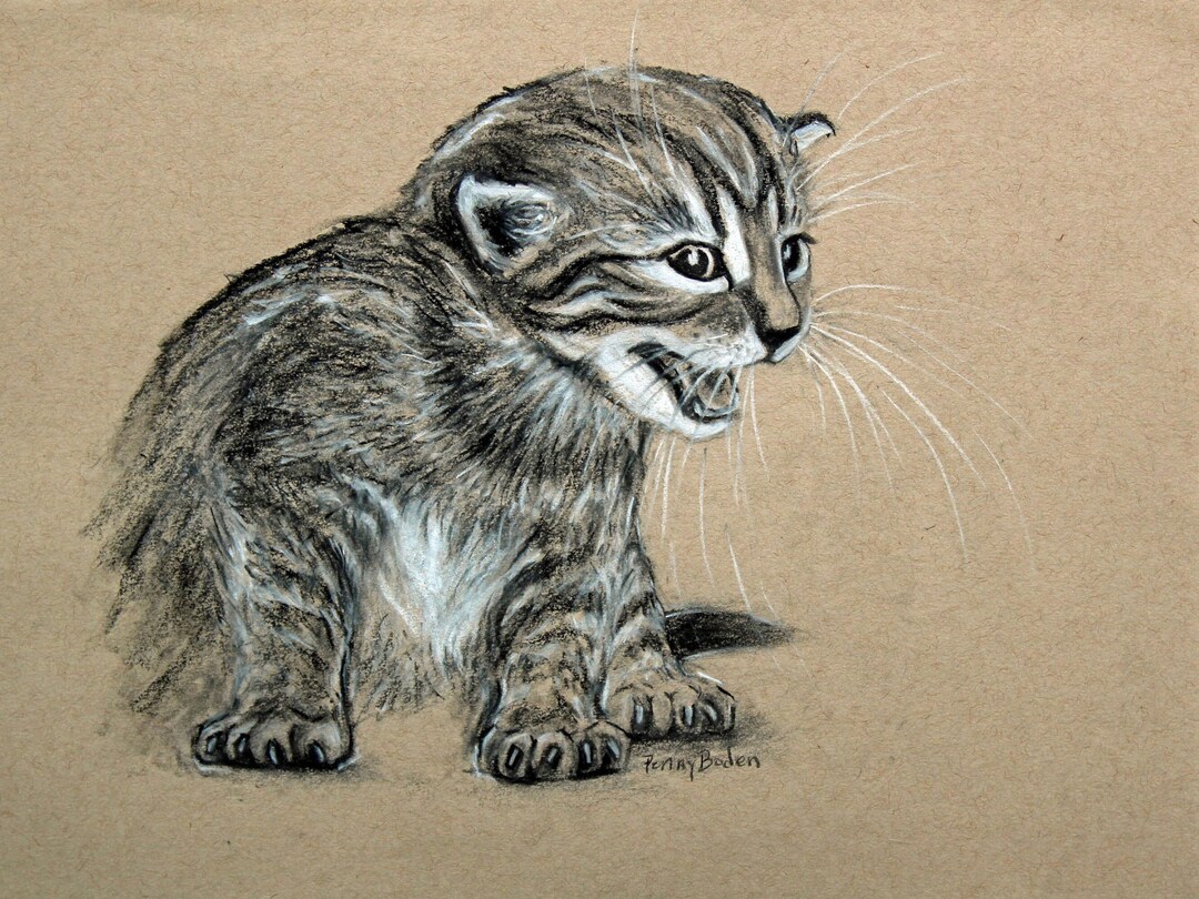 Original Charcoal & White Drawing of Cute Little Baby Tabby Kitten ...