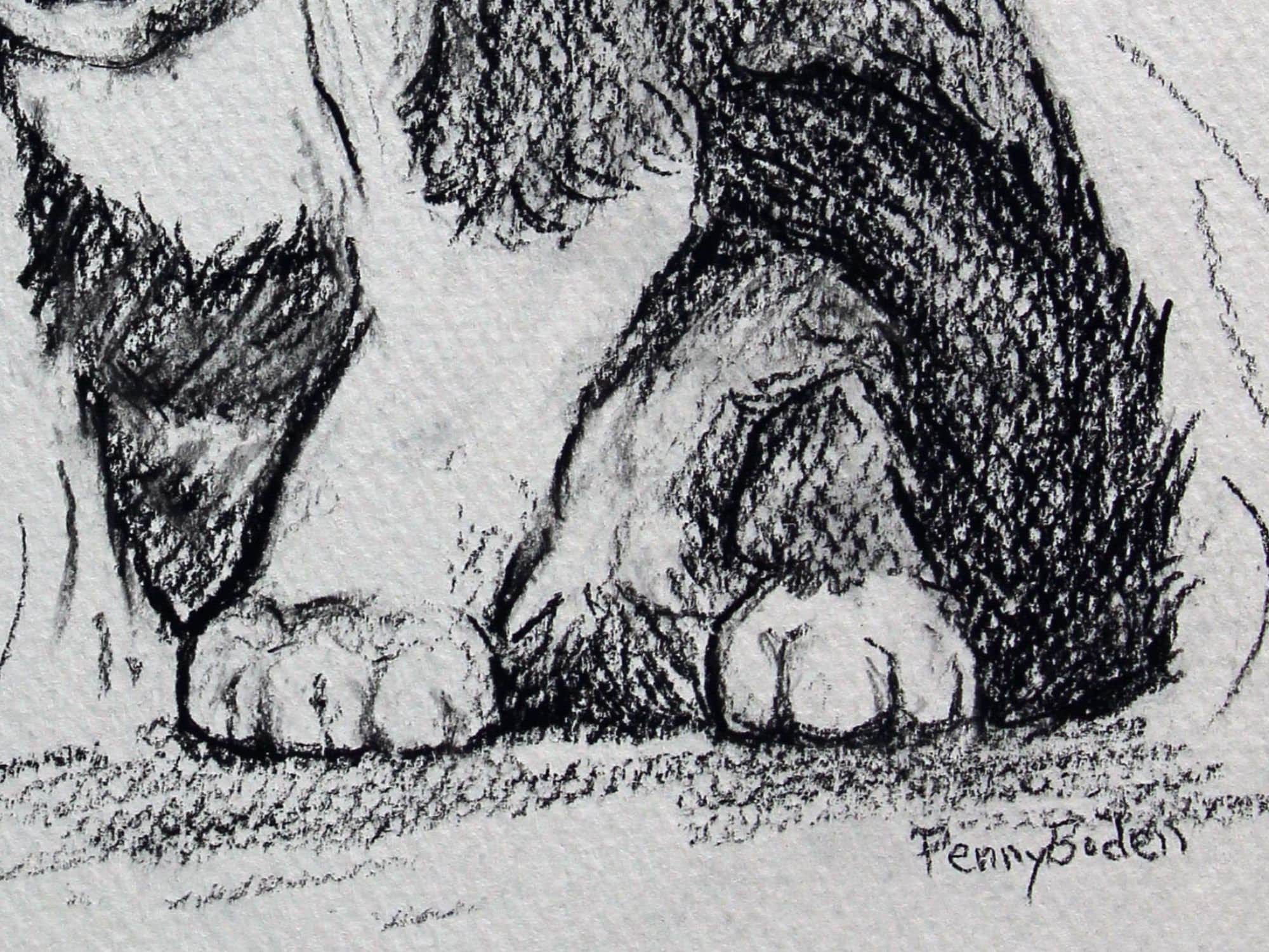 Original Charcoal Drawing of Baby Tux Kitten Black White Piebald Cat ...