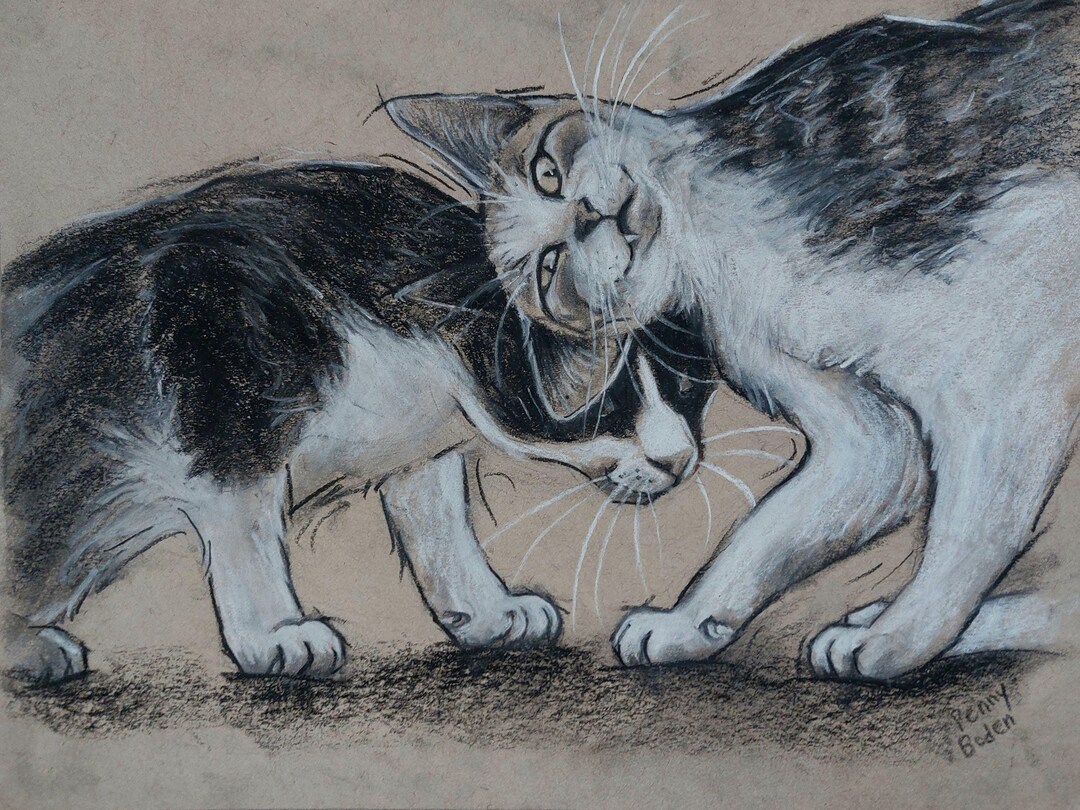 Original Charcoal & White Drawing | 2 Bicolour Cats Headbutting ...