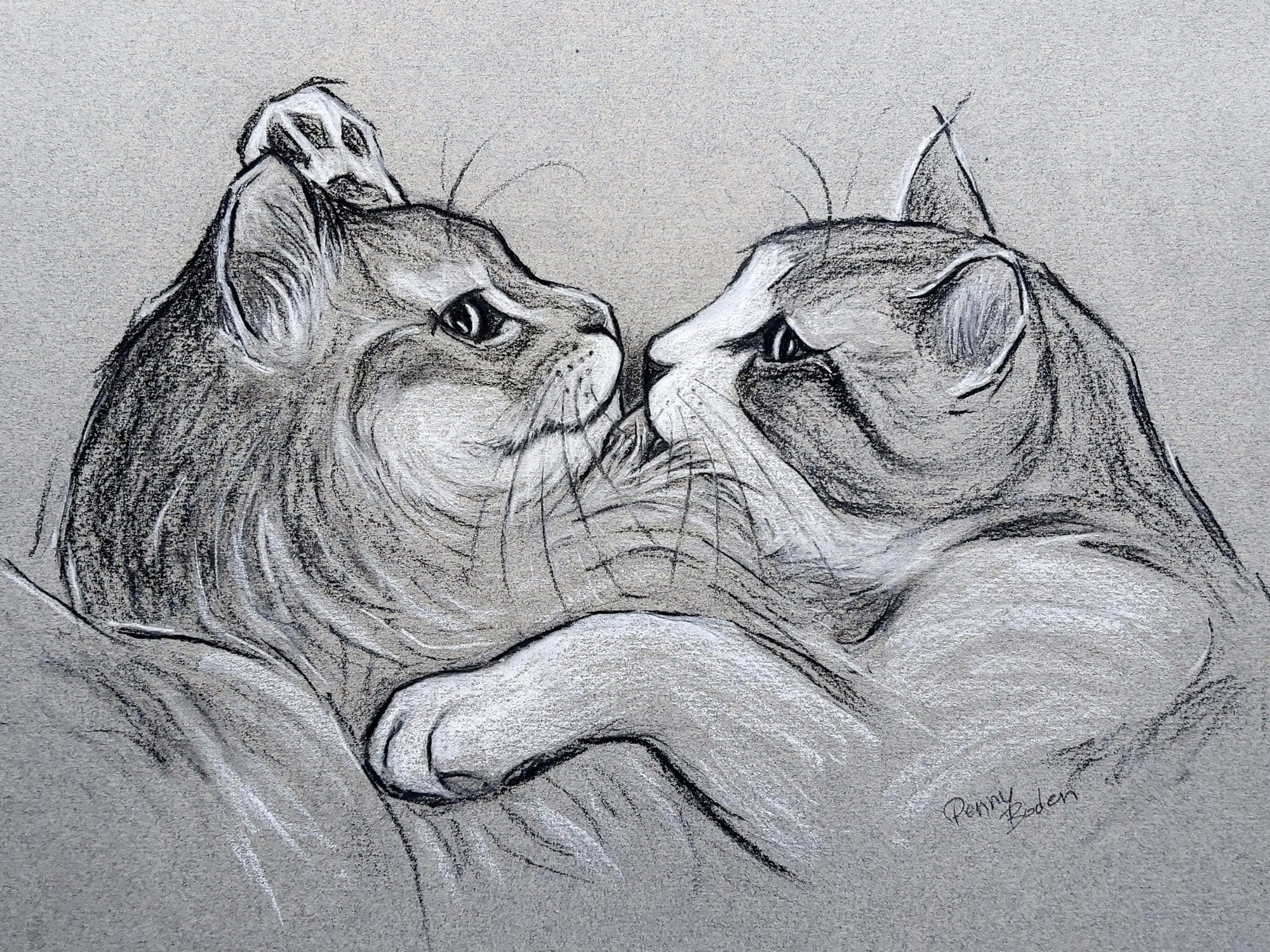 Two Cats Together Drawing