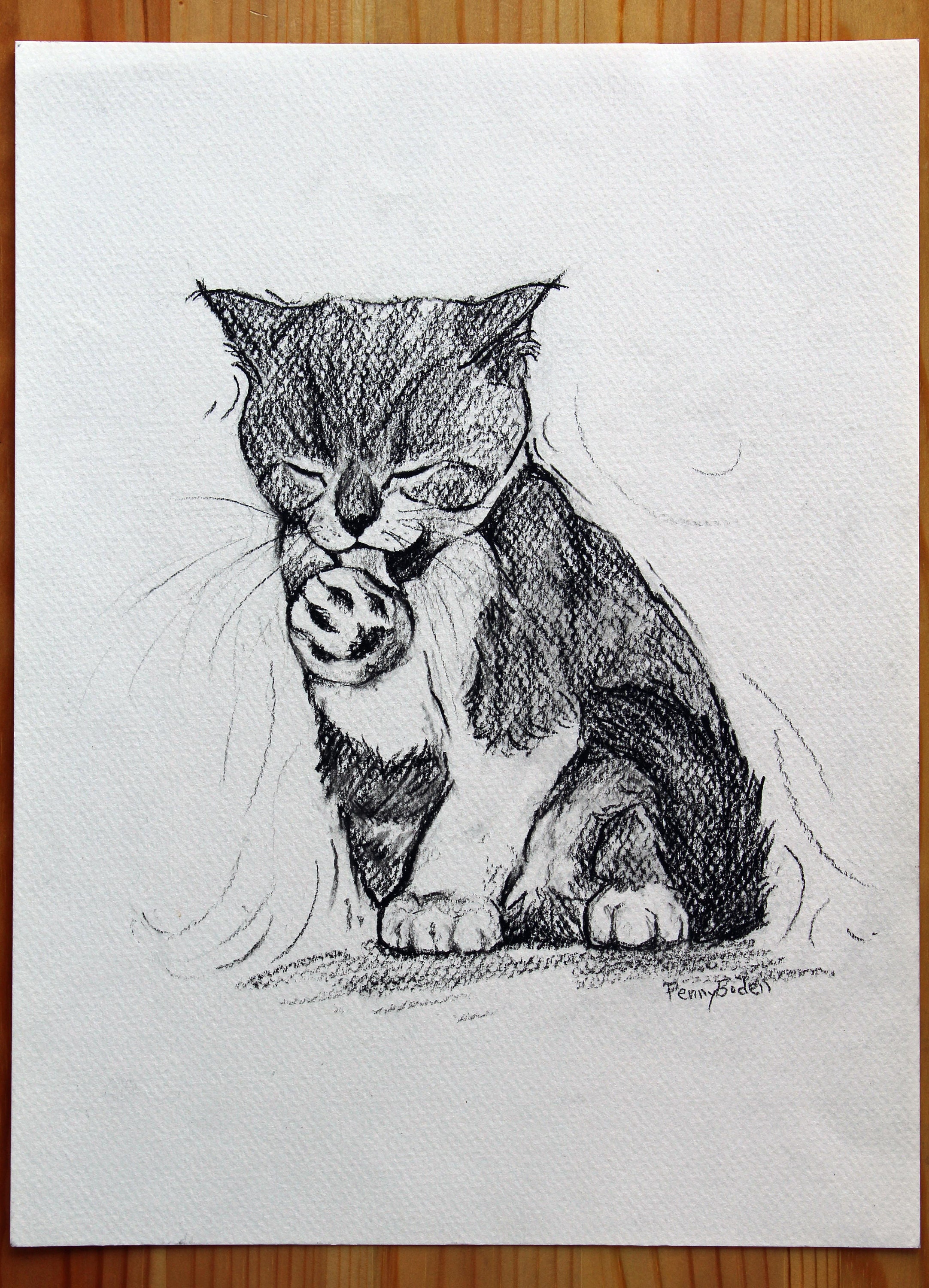Original Charcoal Drawing of Baby Tux Kitten Black White Piebald Cat ...
