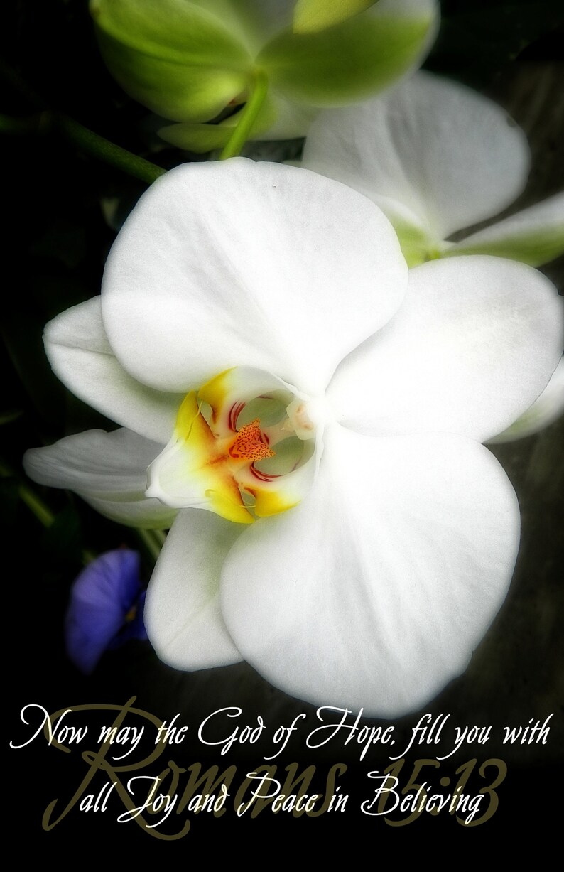 8 Lovely Christian Scripture Art/bulletin Covers Printable Digital ...