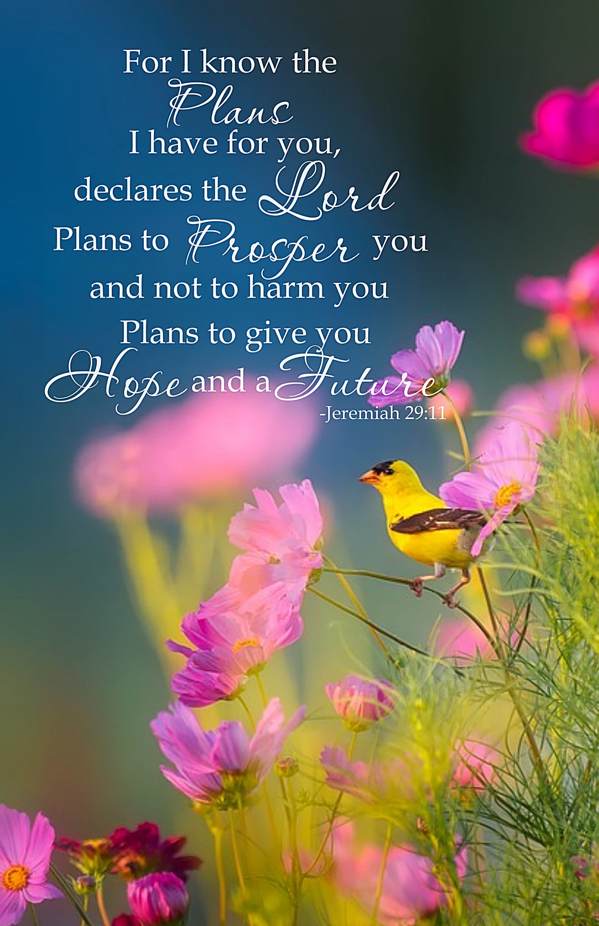 8 Lovely Christian Scripture Art/bulletin Covers Printable Digital ...