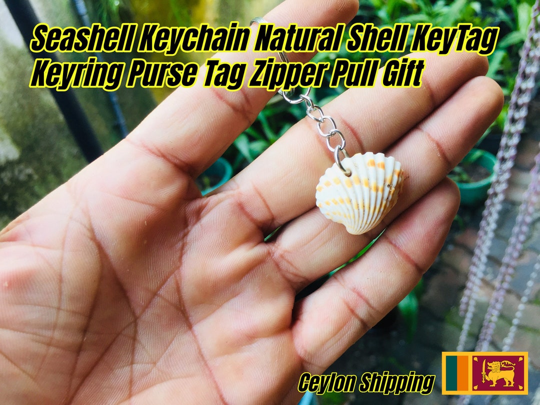 Seashell Keychain Natural Shell Keytag Keyring Purse Tag Zipper Pull ...