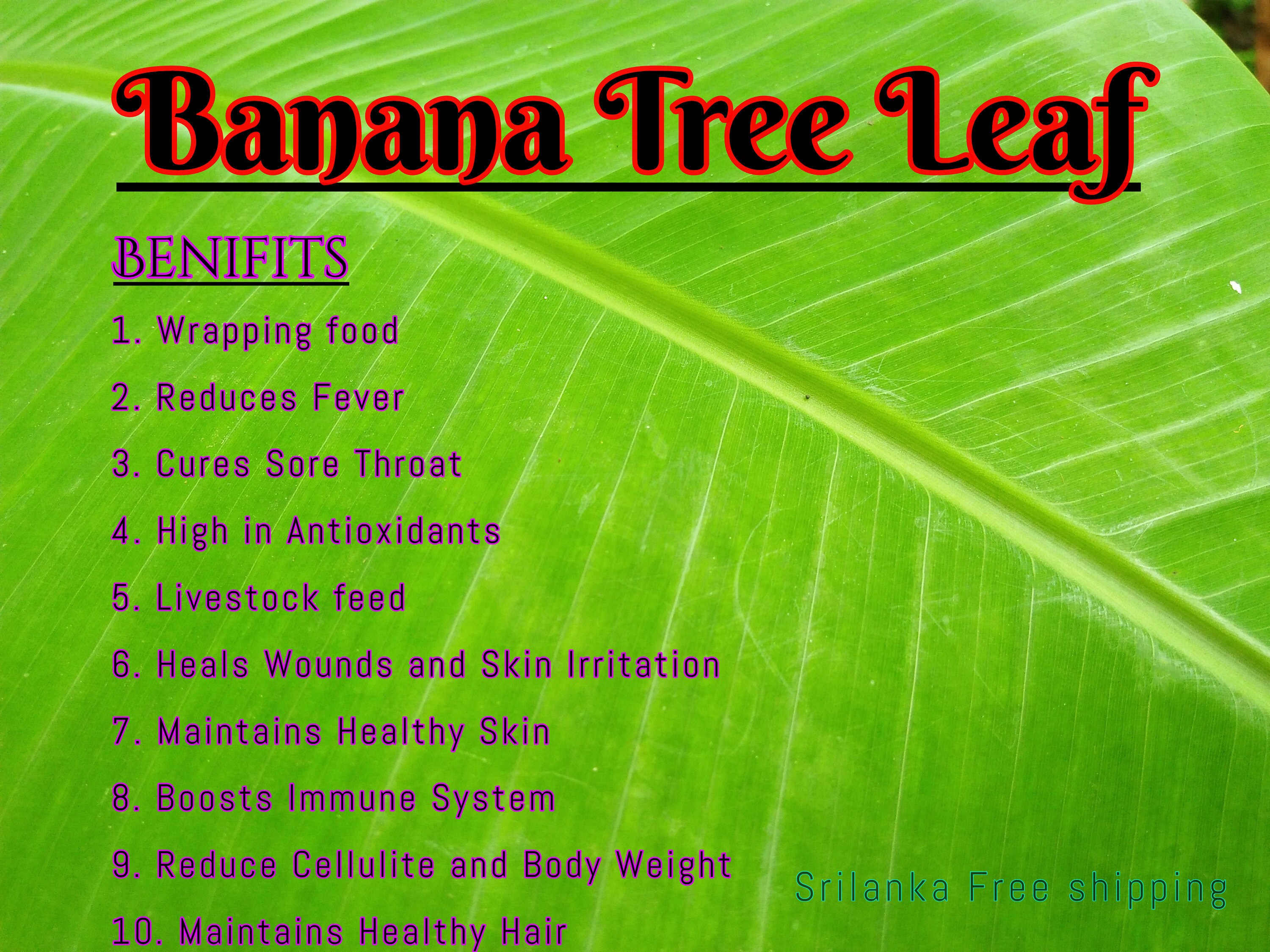 Food On Banana Tree Leaf