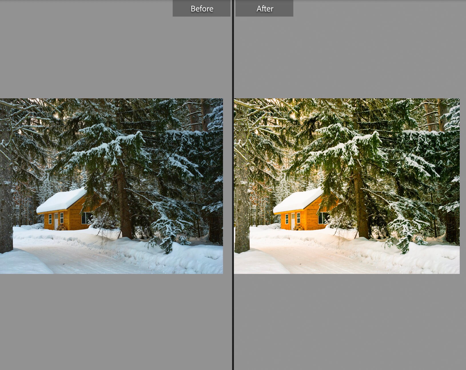 10 Mobile LIGHTROOM Warm Presets Warm Color Presets Earthy - Etsy