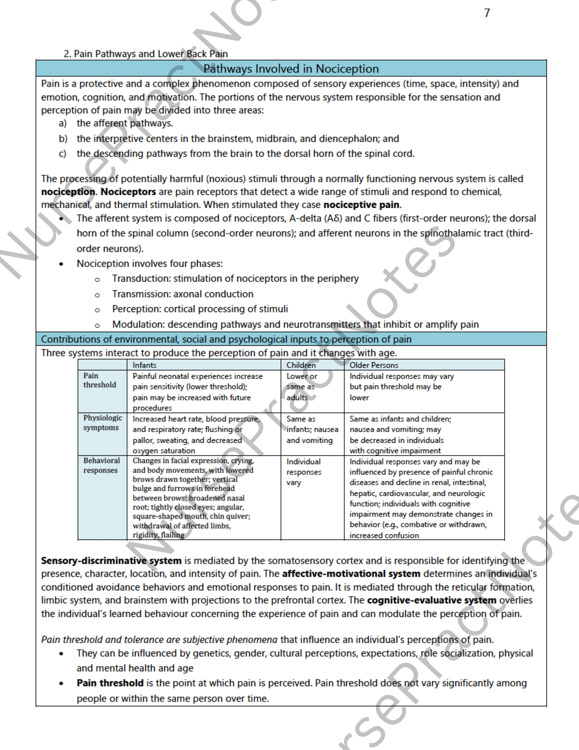 Pathophysiology for the Nurse Practitioner Notes - Etsy