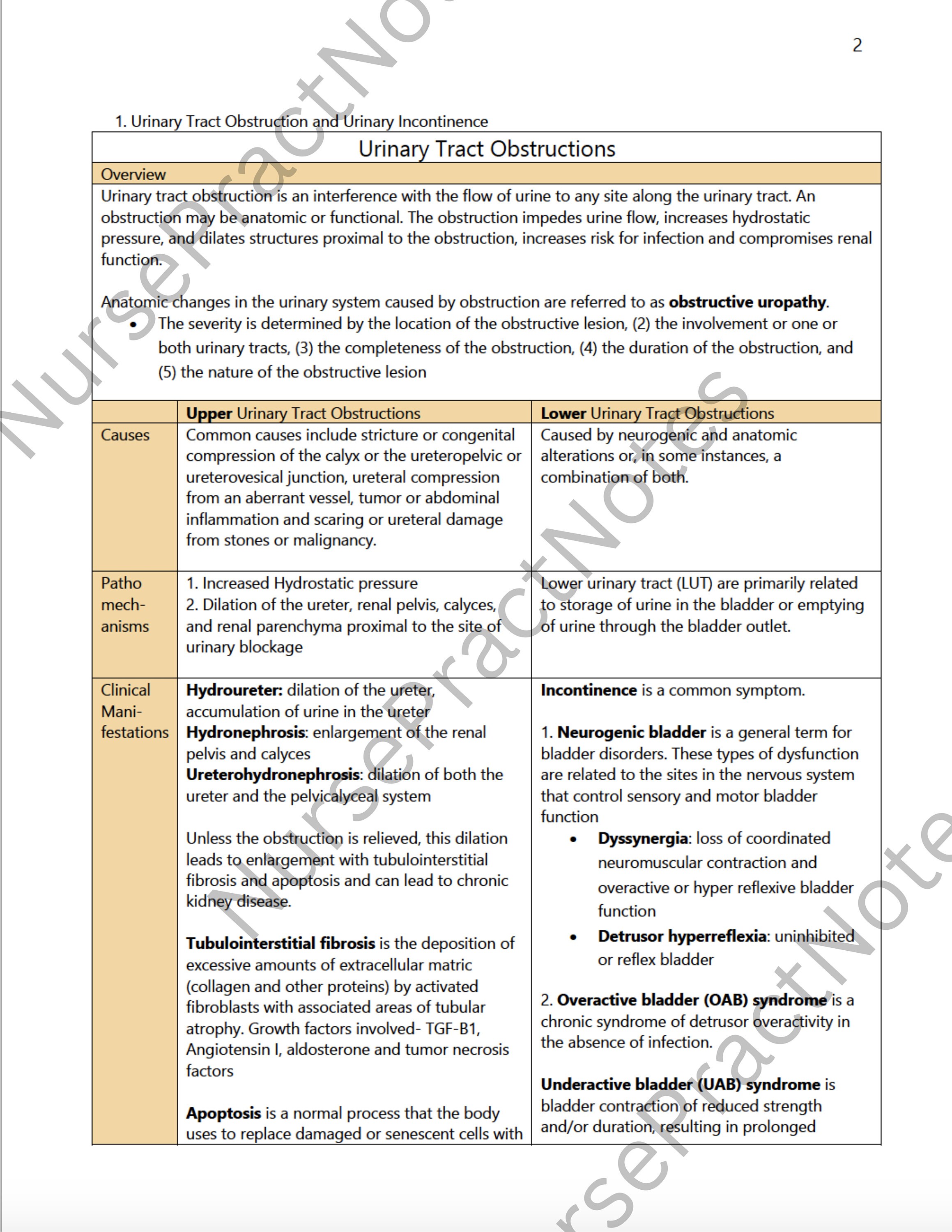 Pathophysiology for the Nurse Practitioner Notes - Etsy