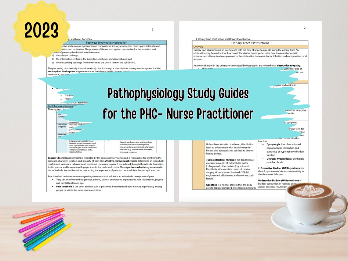 Pathophysiology for the Nurse Practitioner Notes - Etsy