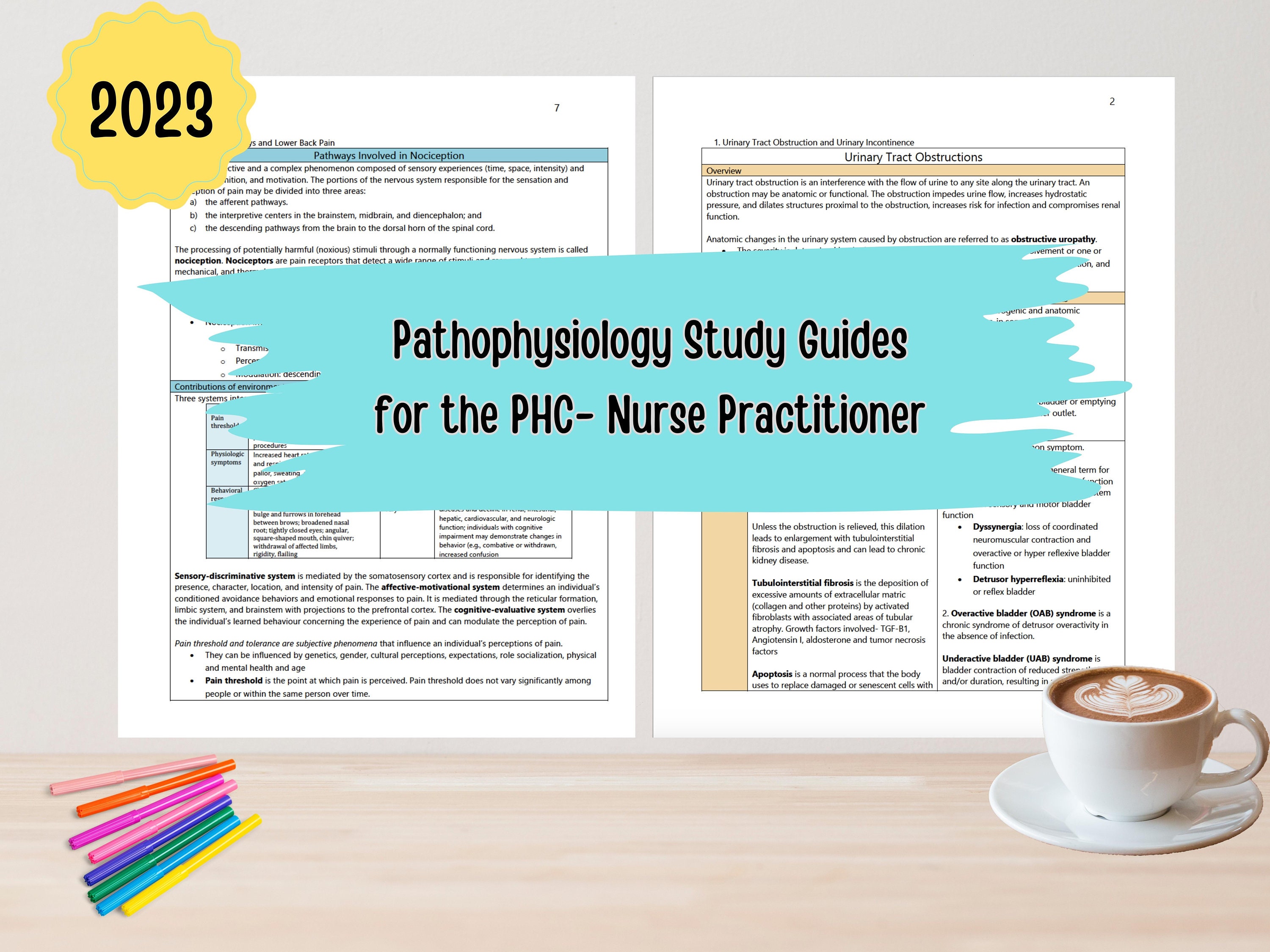 Pathophysiology for the Nurse Practitioner Notes - Etsy