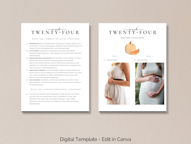 Pregnancy Journal, Expectant Mother Gift Pregnancy Planner Pregnancy ...