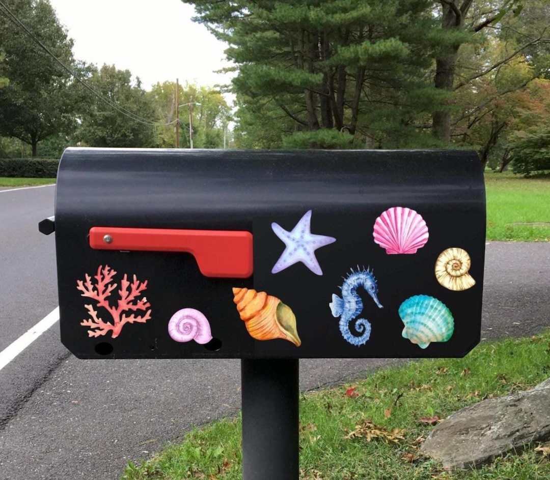 Mailbox Magnets- Sea Shells - Etsy