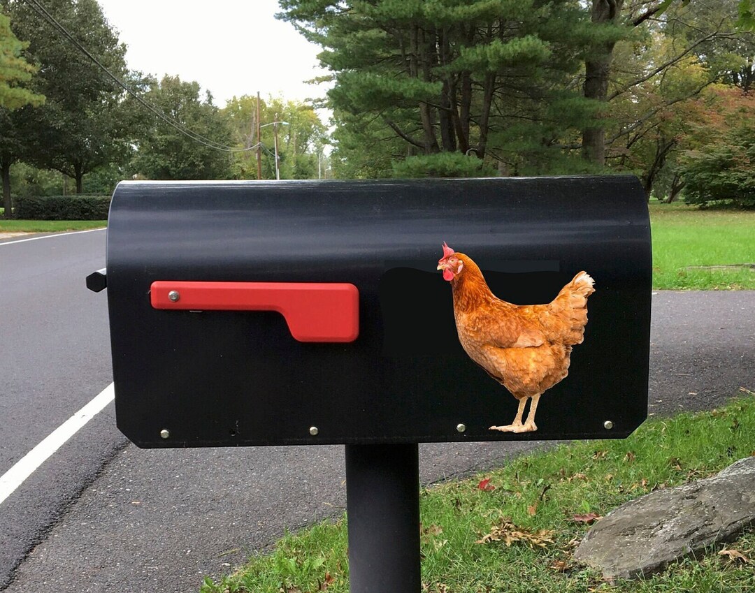 Mailbox Magnet: Hen Chicken - Etsy