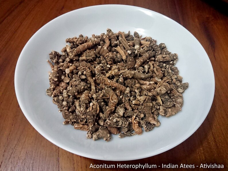 Aconitum Heterophyllum Dried Stem & Roots Dehydrated | Etsy