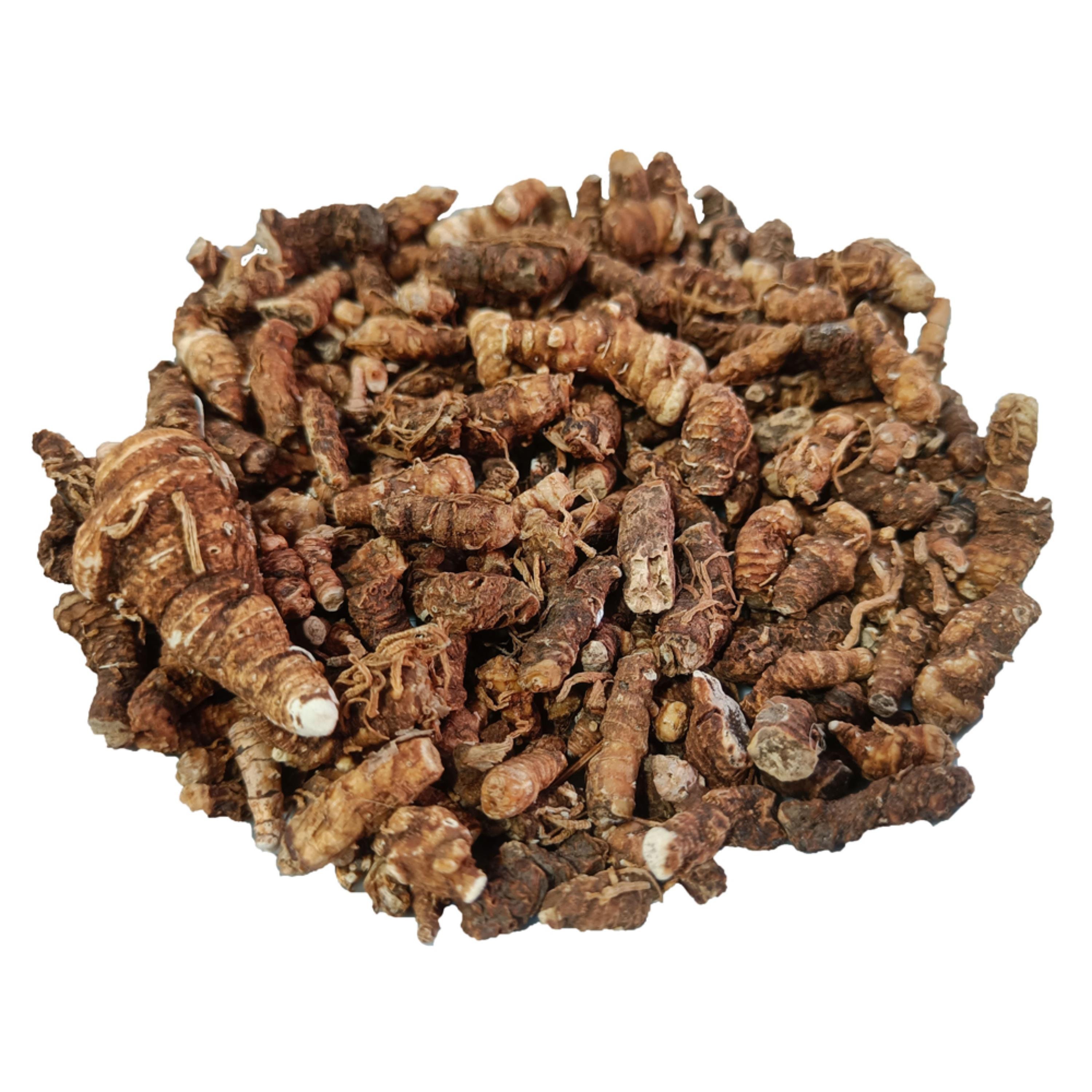 Buy Aconite Dried Roots & Stems Aconitum Heterophyllum - Etsy UK