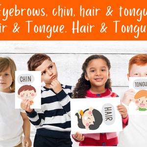 Head, Shoulders, Knees, Toes Visuals | Instant Download | Classroom ...