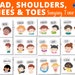 Head, Shoulders, Knees, Toes Visuals | Instant Download | Classroom ...