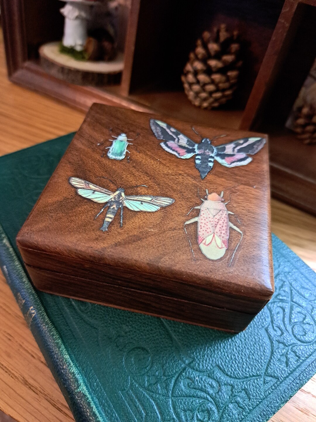 Vintage Wooden Box, Insect Moth Nature Inspired Upcycled Jewellery ...