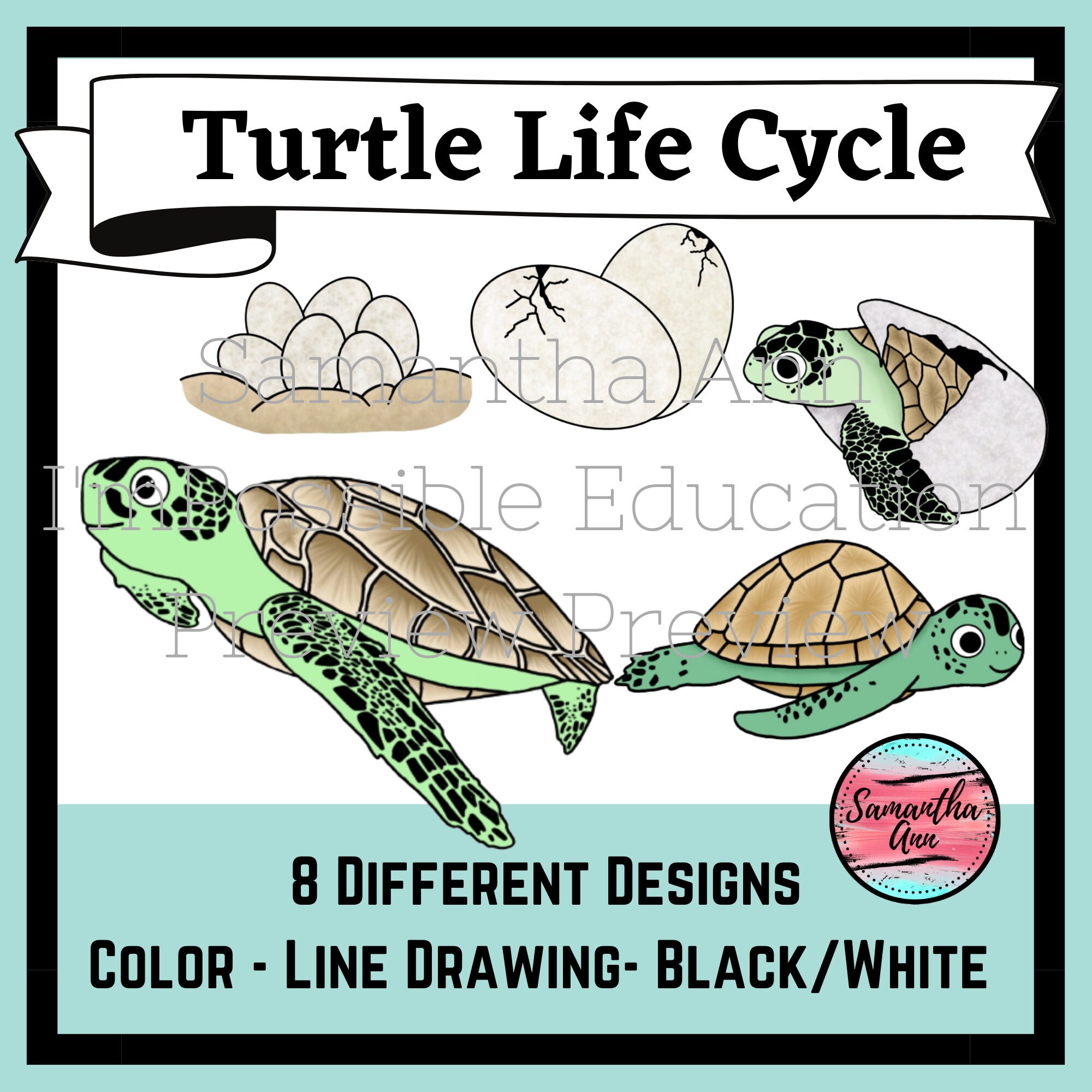 Life Cycle of a Turtle Clipart/designs - Etsy