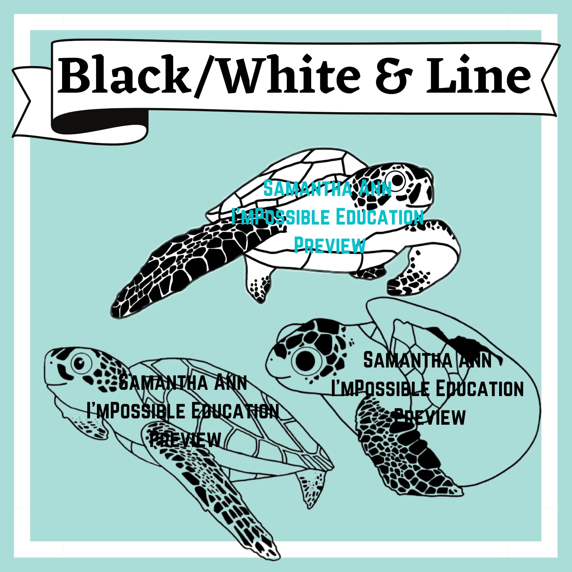 Life Cycle of a Turtle Clipart/designs - Etsy