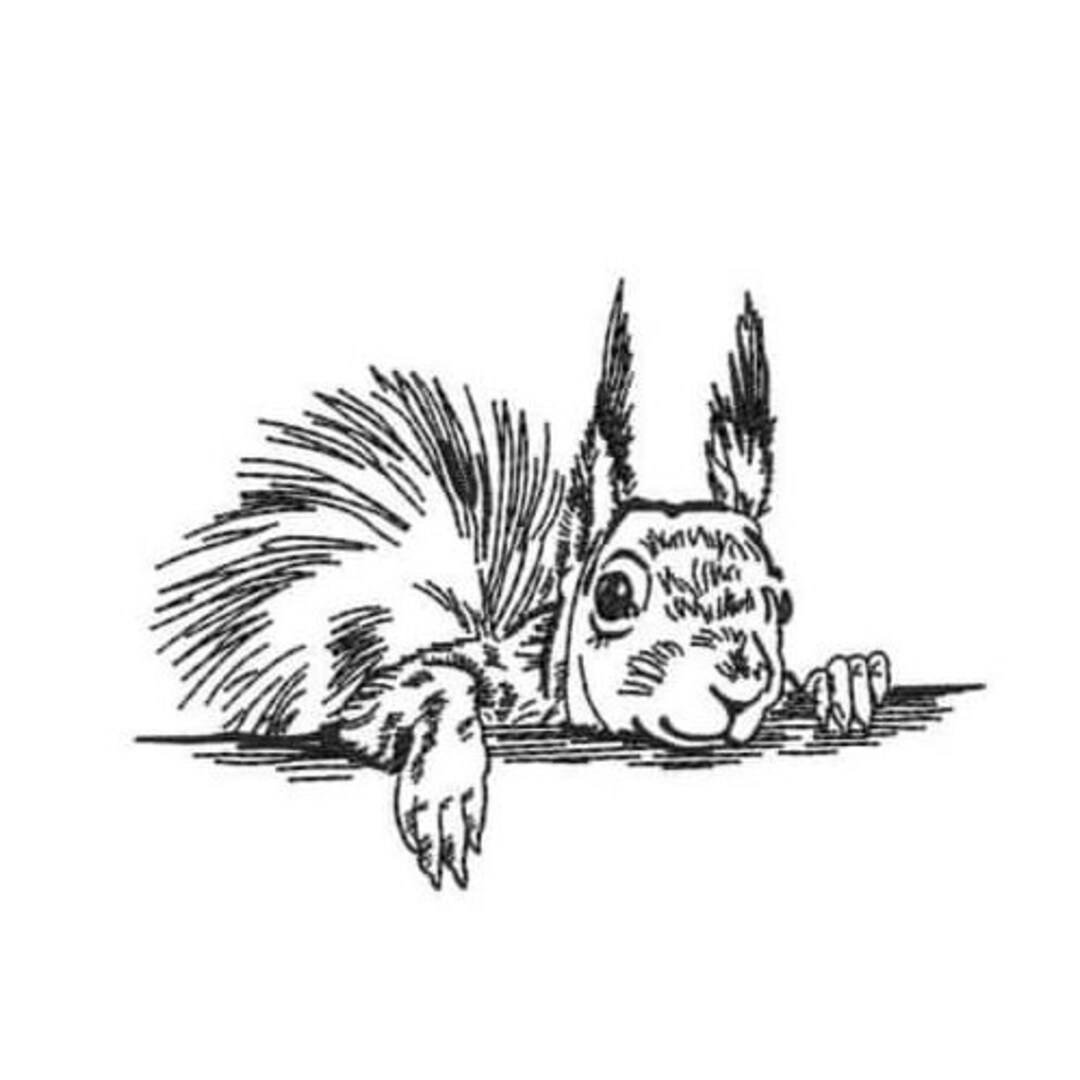 Embroidery File Squirrel Scribble 10x10 4x4 - Etsy