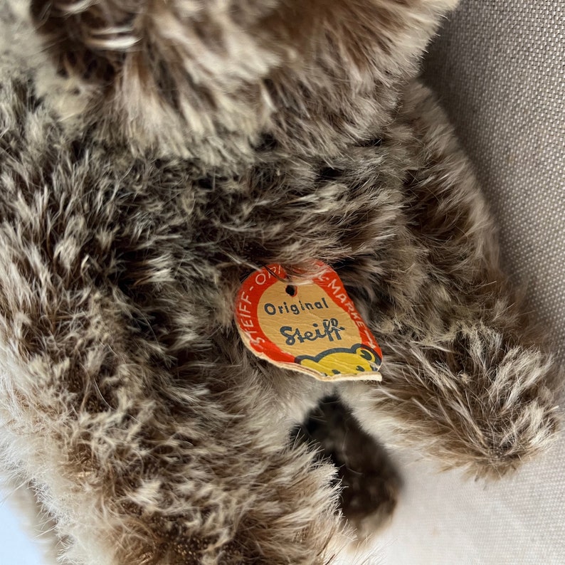 Original STEIFF Wild Boar With Blue Eyes and Original Label - Etsy