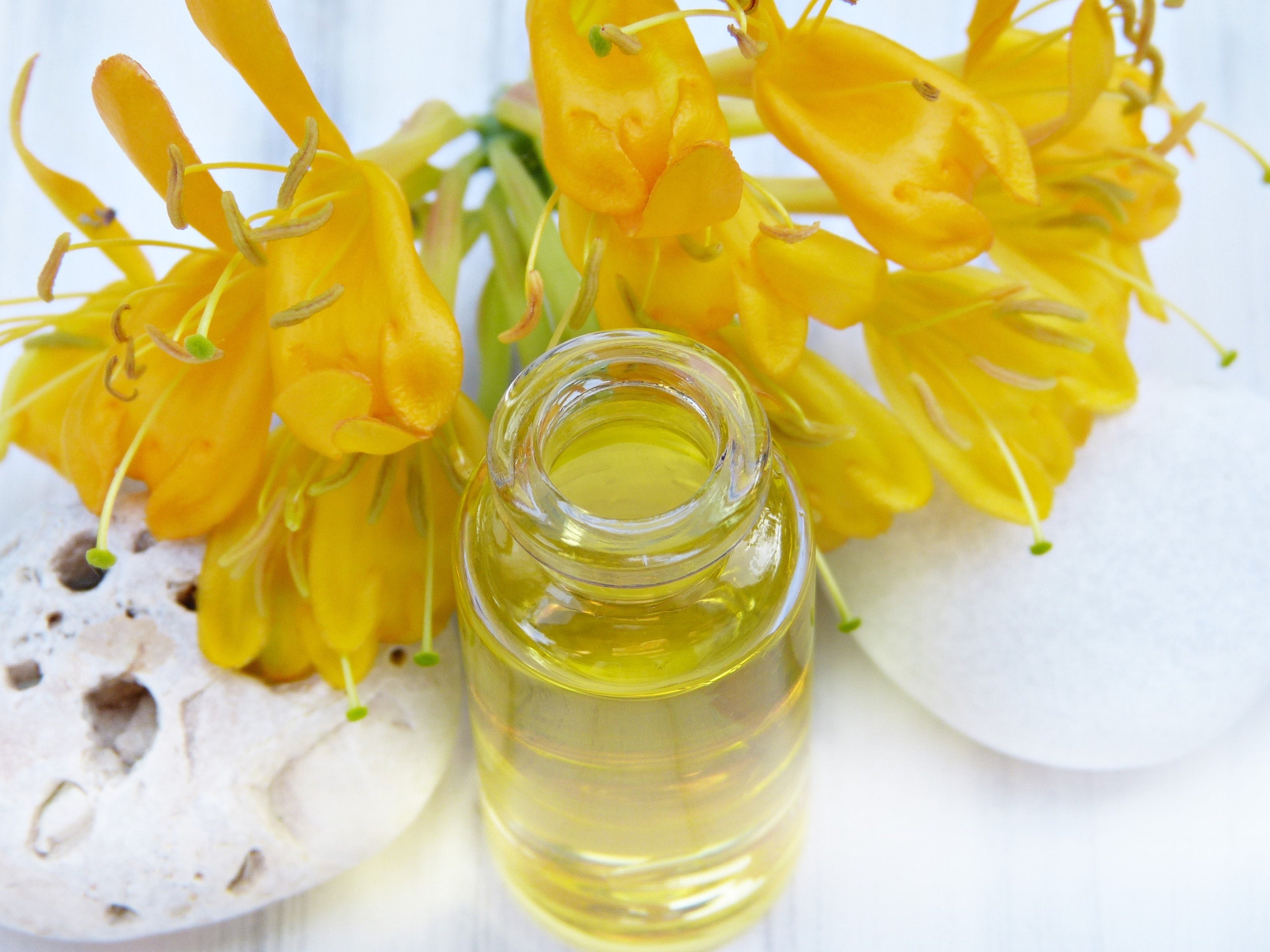 Honeysuckle Jasmine ~ Light Citrus Top Notes Blended With Jasmine and ...