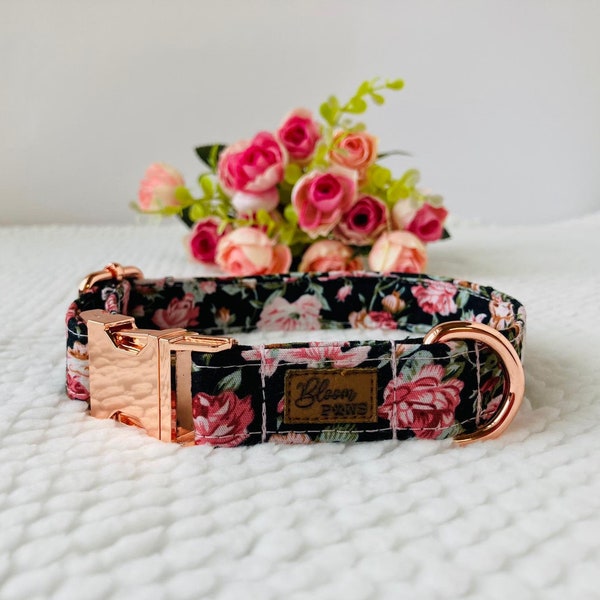 Female Dog Collar - Etsy