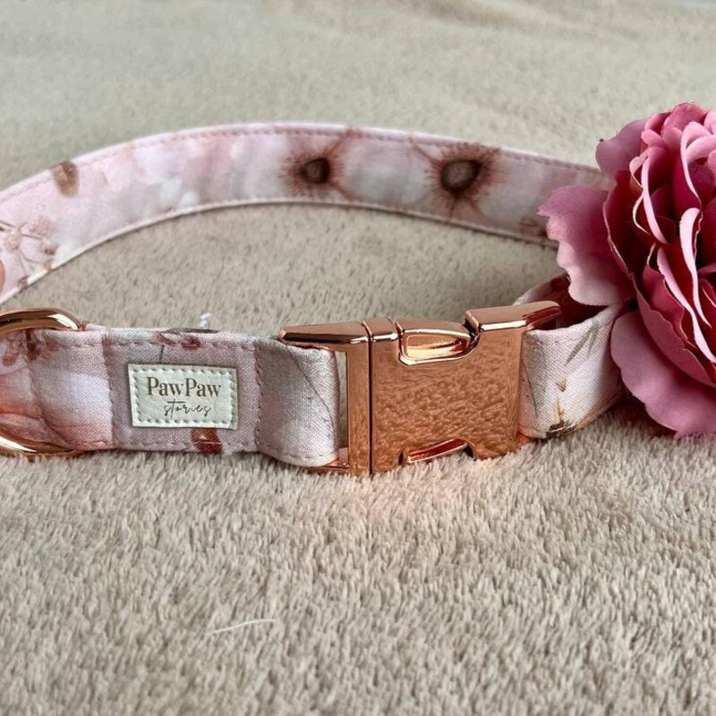 Collar Attachment - Etsy