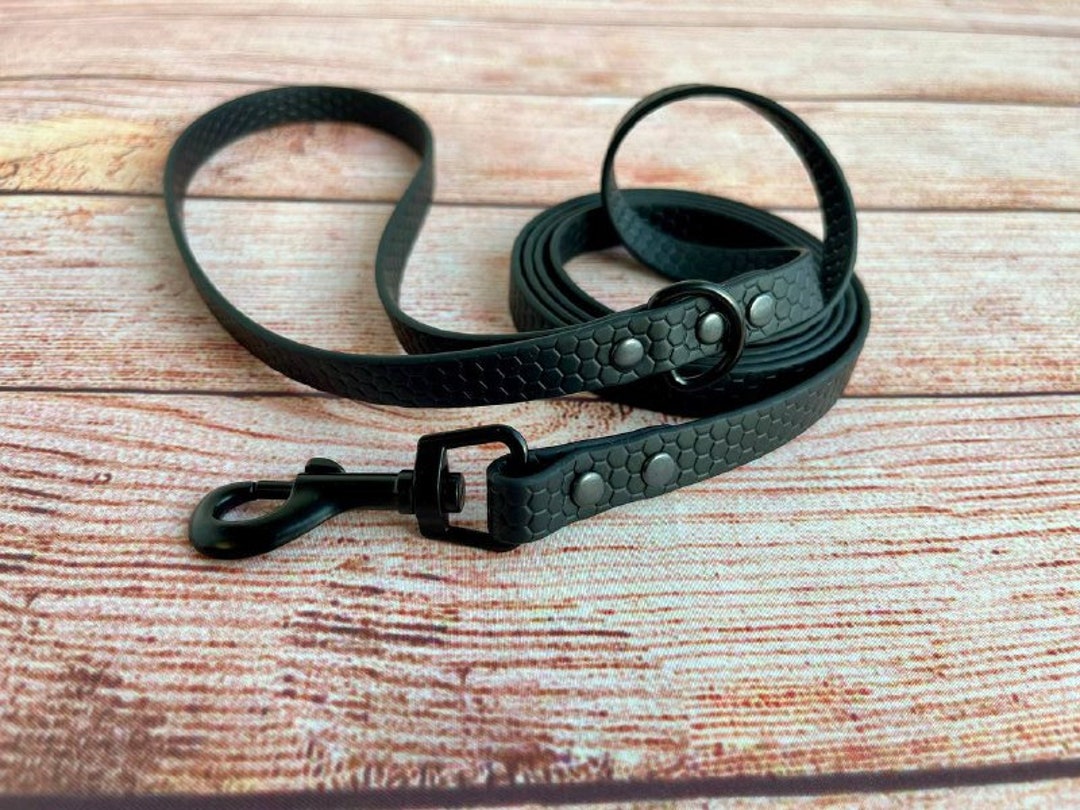 Coated Webbing Dog Leash for Small Breeds, Lightweight and Comfortable ...