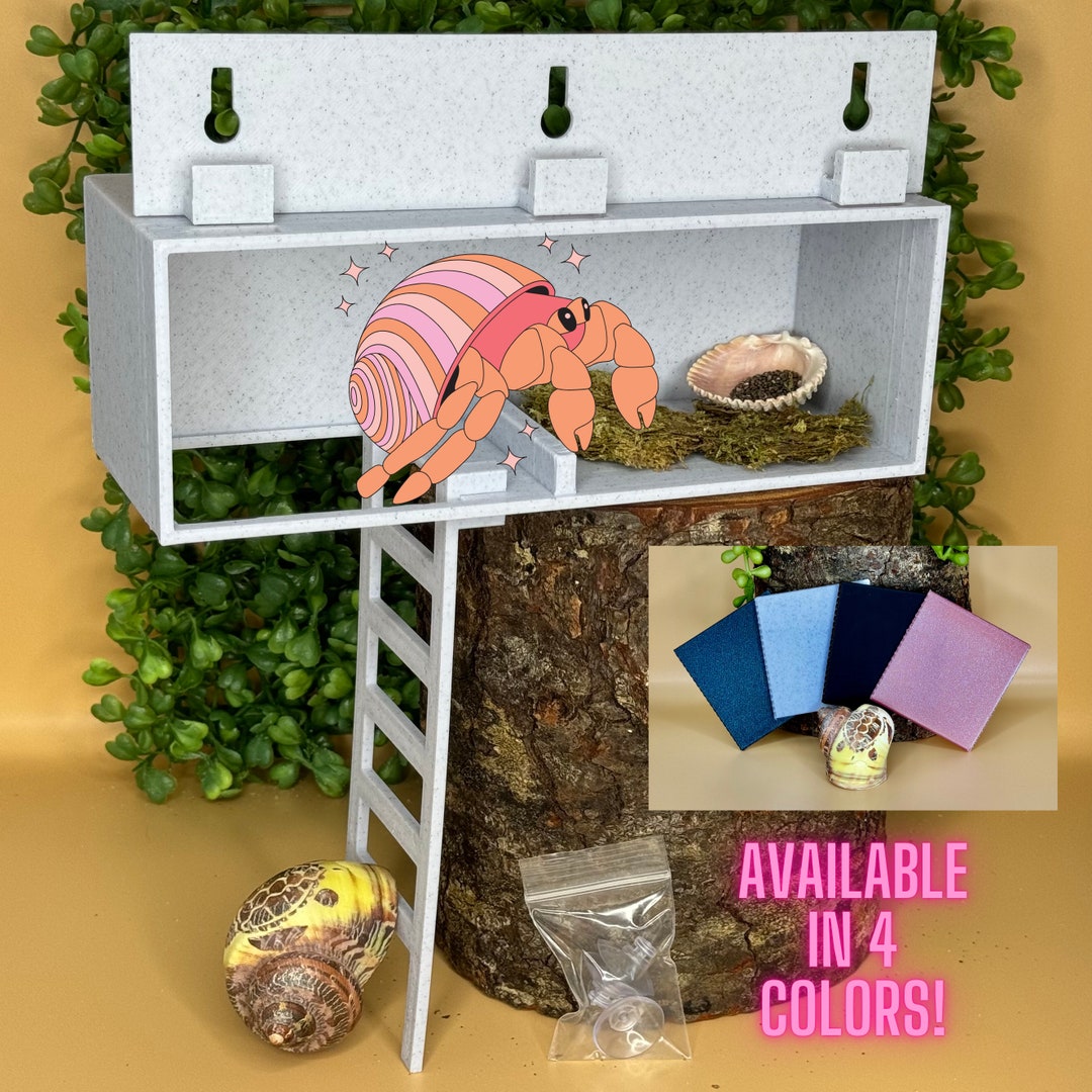 Floating Hermit Crab Hideout - Etsy