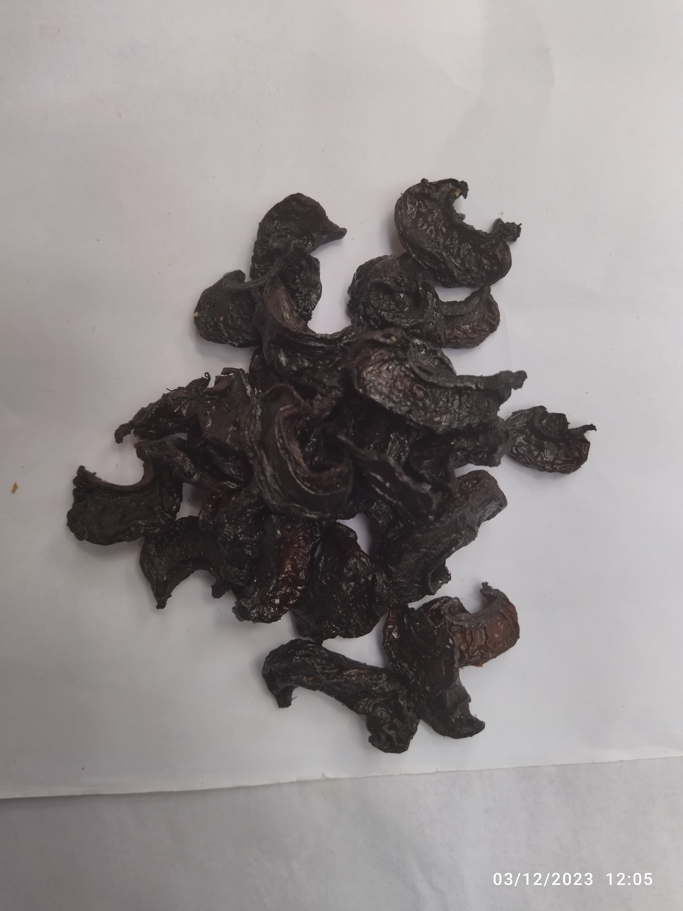 Garcinia Cambogia Gummi Gutta Pure Ceylon Handmade Dried 100% Natural ...