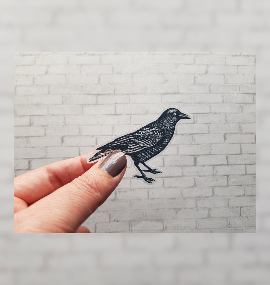 Crow / Black Bird Die Cut Vinyl Matte Sticker - Etsy