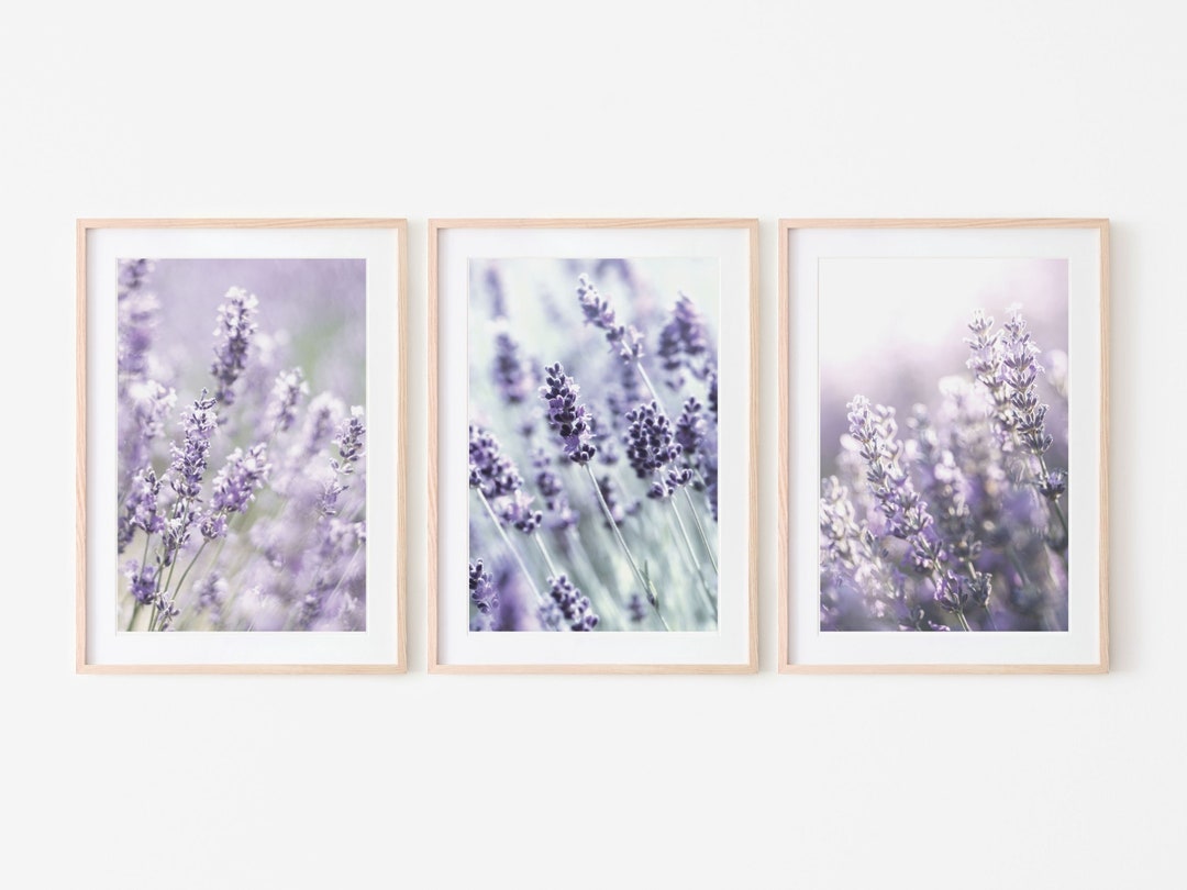 Lavender Wall Art Set of 3 Prints, Purple Wildflower Print Set of 3 ...