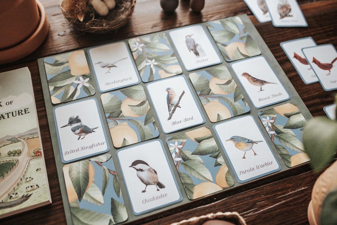 Memory Match Bird Card Game - North American Birds - Etsy