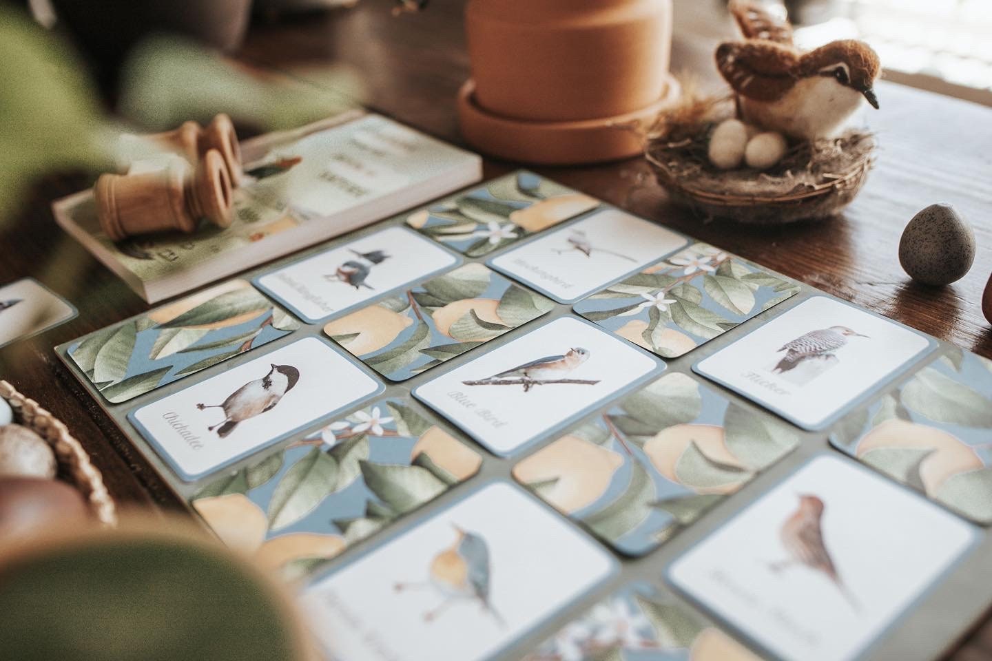 Memory Match Bird Card Game - North American Birds - Etsy