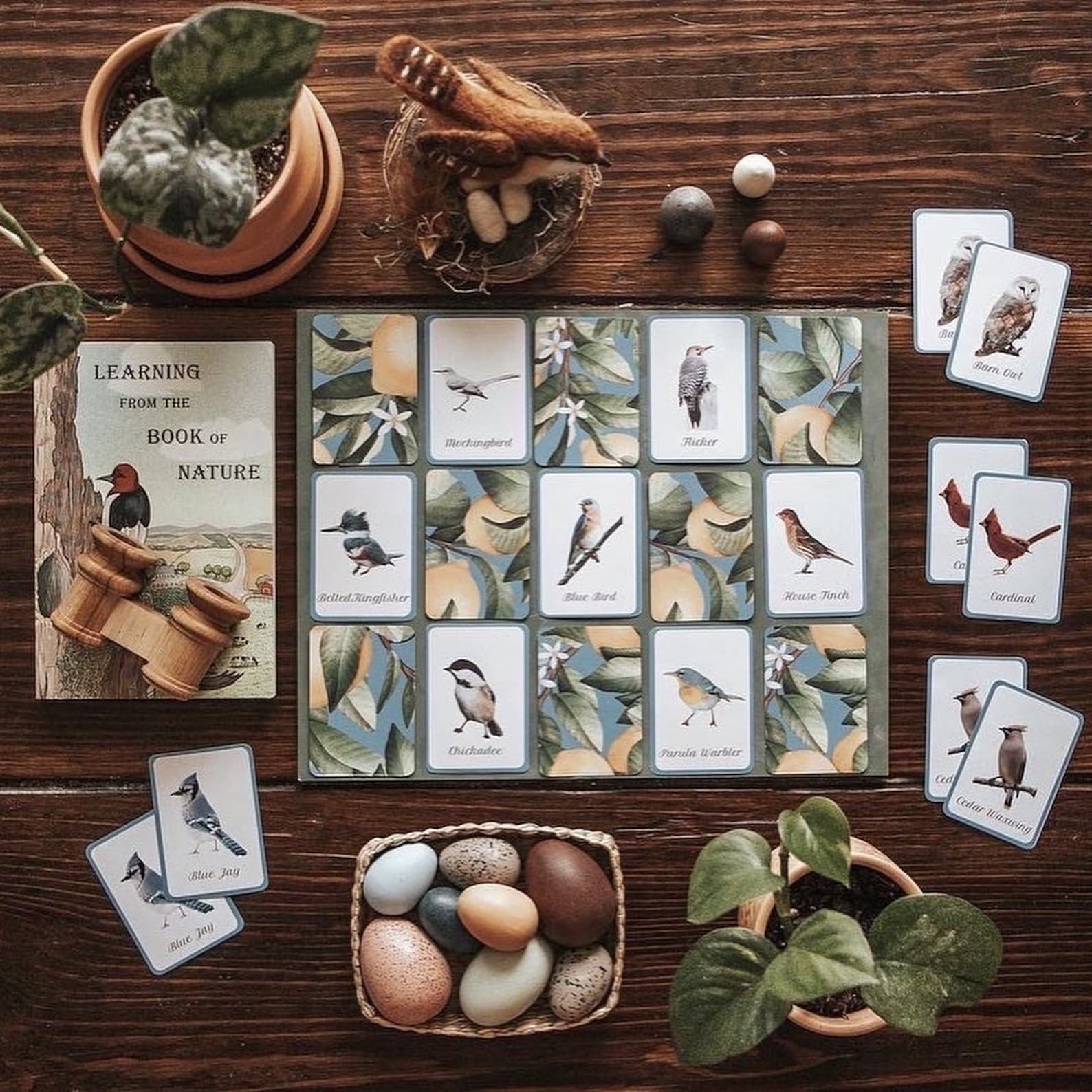 Memory Match Bird Card Game - North American Birds - Etsy