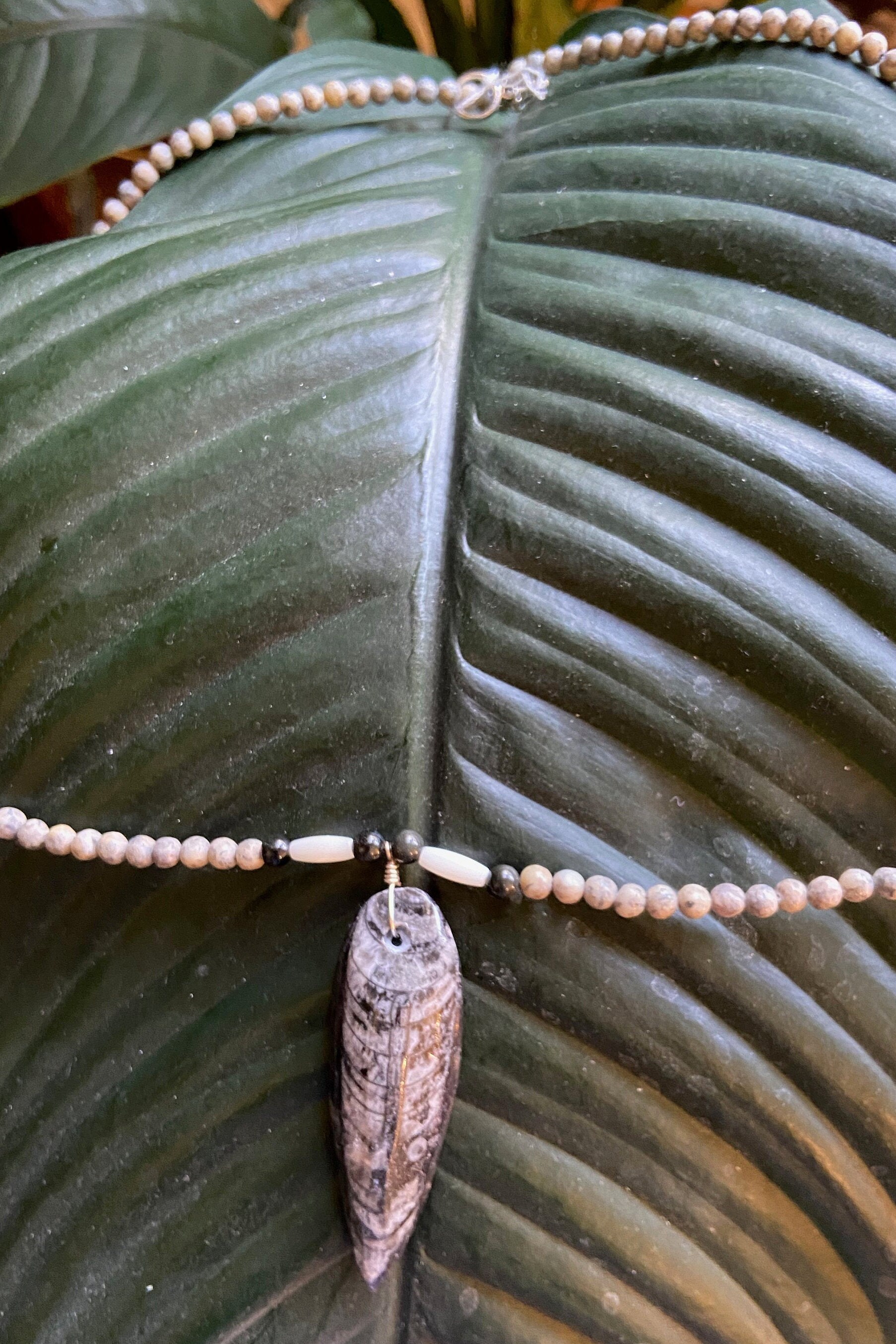 Trilobite Fossil Pendant in Black, White and Grey With Grey Jasper ...
