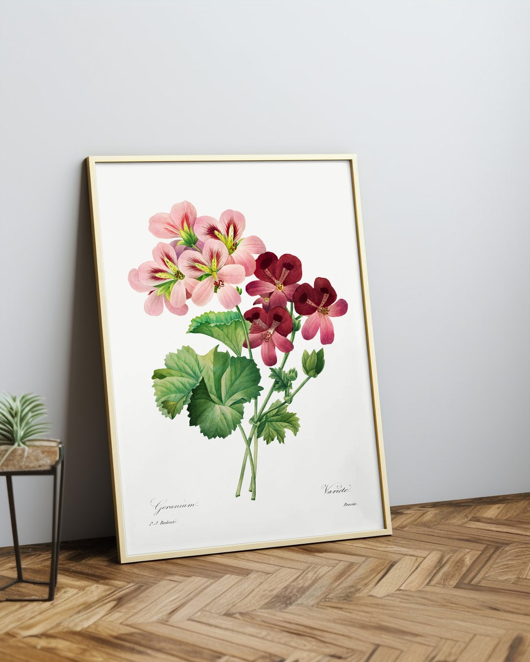 Geranium Flower Print Botanical Wall Art, Vintage Flower Art Print ...