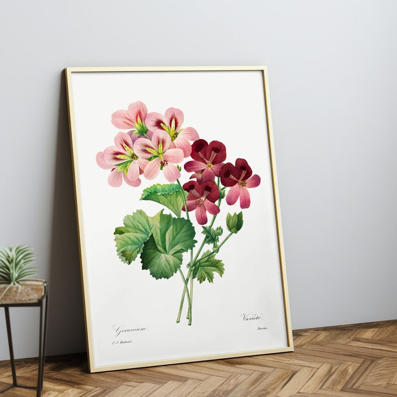 Geranium Painting - Etsy