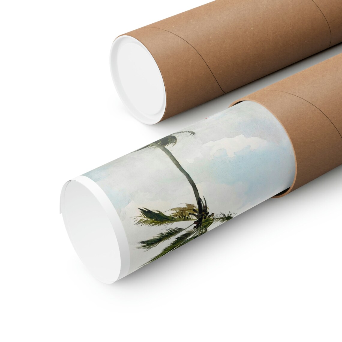 Winslow Homer Poster | Palm Tree, Winslow Homer, Floral Wall Art ...