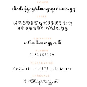 Long Tail and Heart Font Scripts, Handwritten Font With Connecting ...