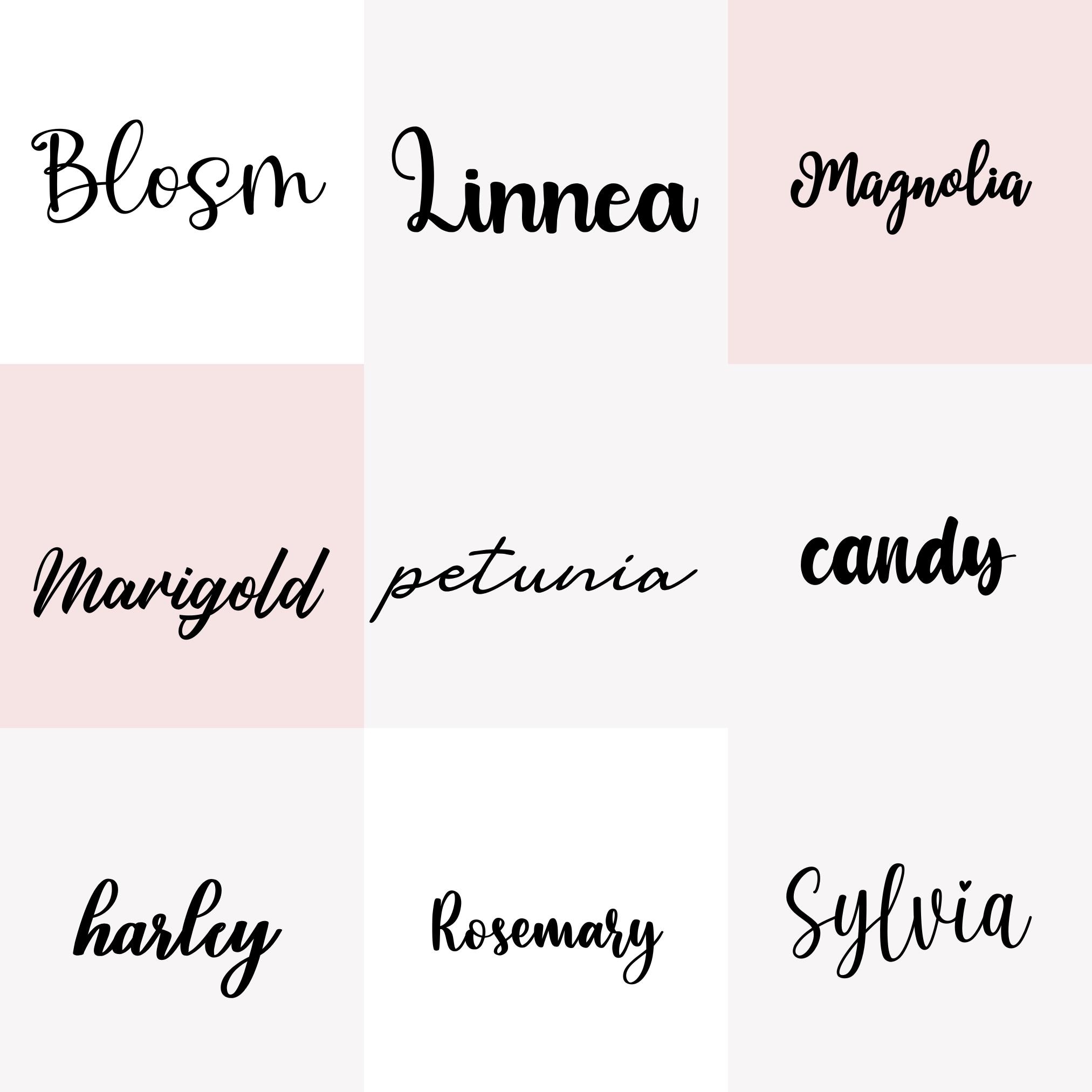 Bundle Laser Fonts 80+ Connected Letter Fonts: Laser Cutting & Cricut ...