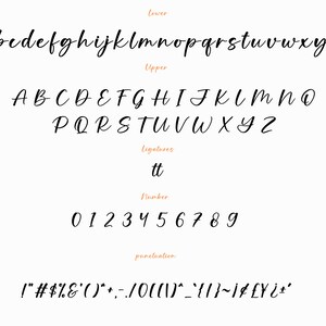 Tail Font Script: Handwritten Wedding Font With Swashes - Etsy