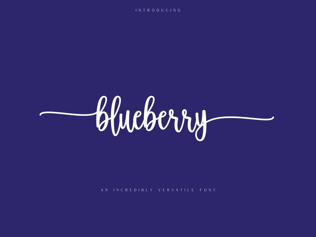 Long Tail Font Scripts,handwritten Font,font for Cricut,wedding Fonts ...