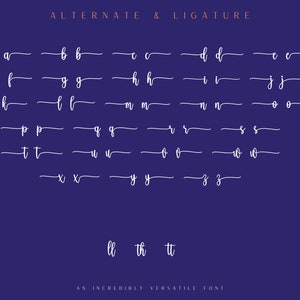 Long Tail Font Scripts,handwritten Font,font for Cricut,wedding Fonts ...