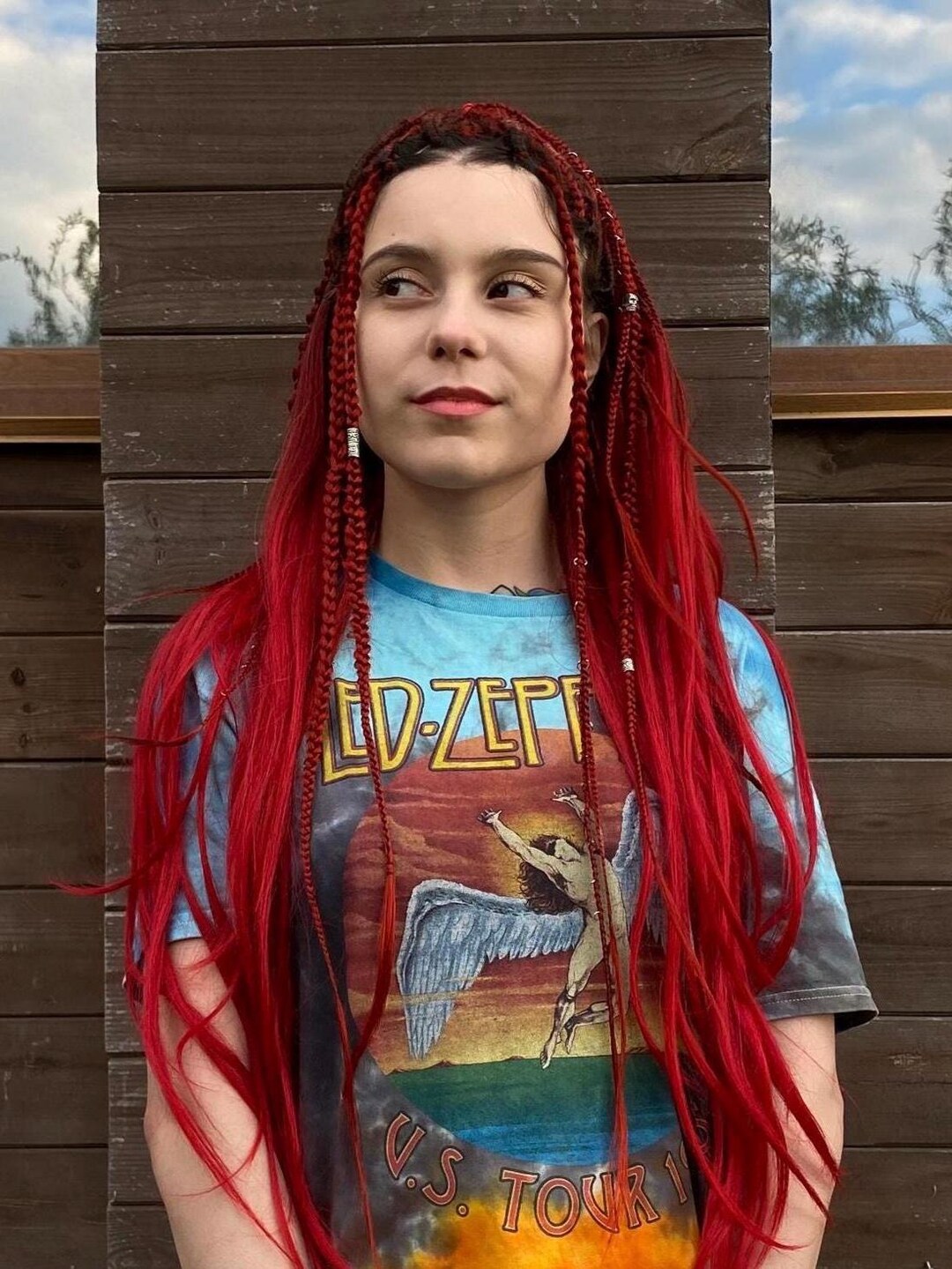 Gothic Fantasy Dreads & Braids Set | Curly Synthetic Dreadlock ...